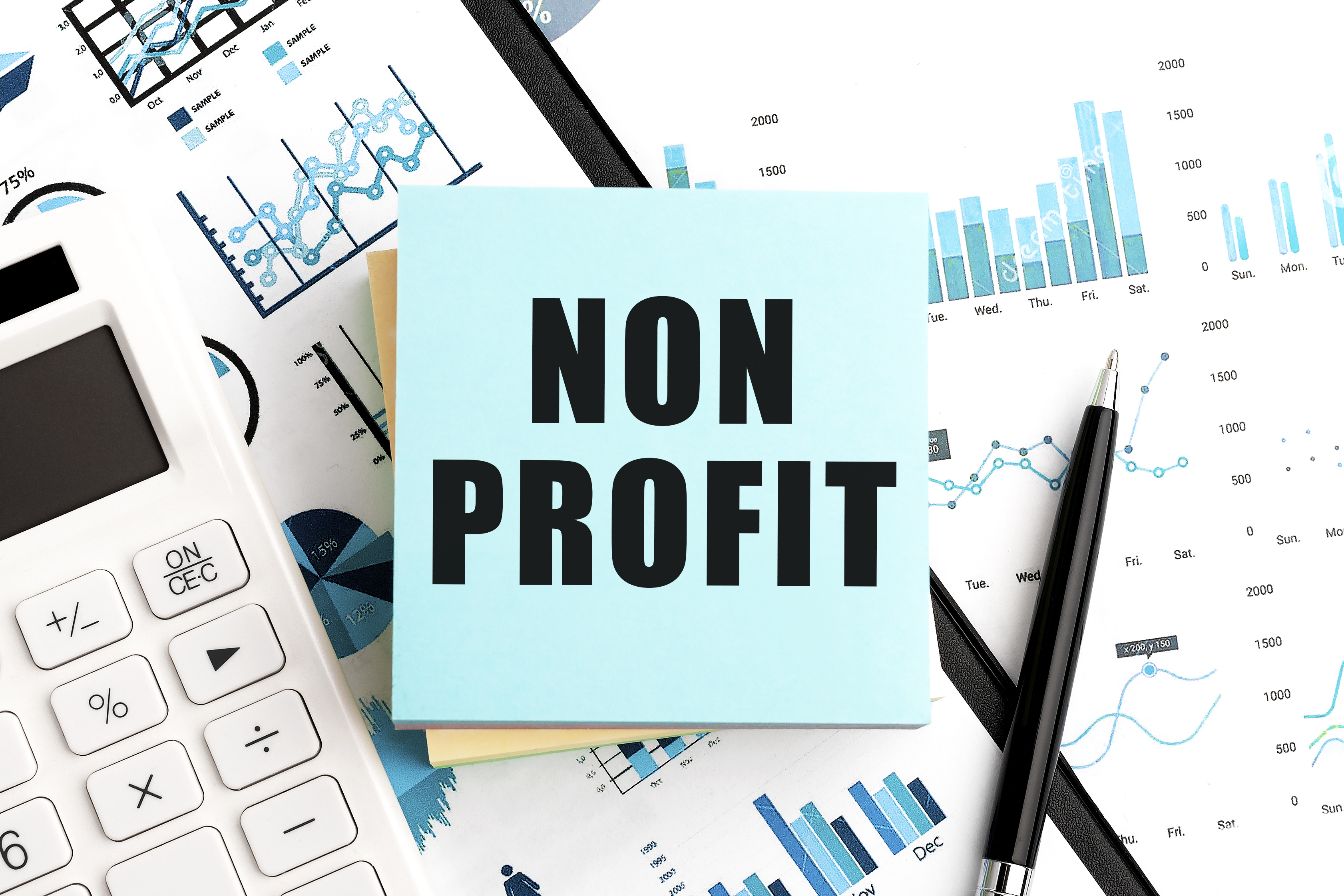 Have You Thought of Setting Up a Non Profit? - Francine D. Ward
