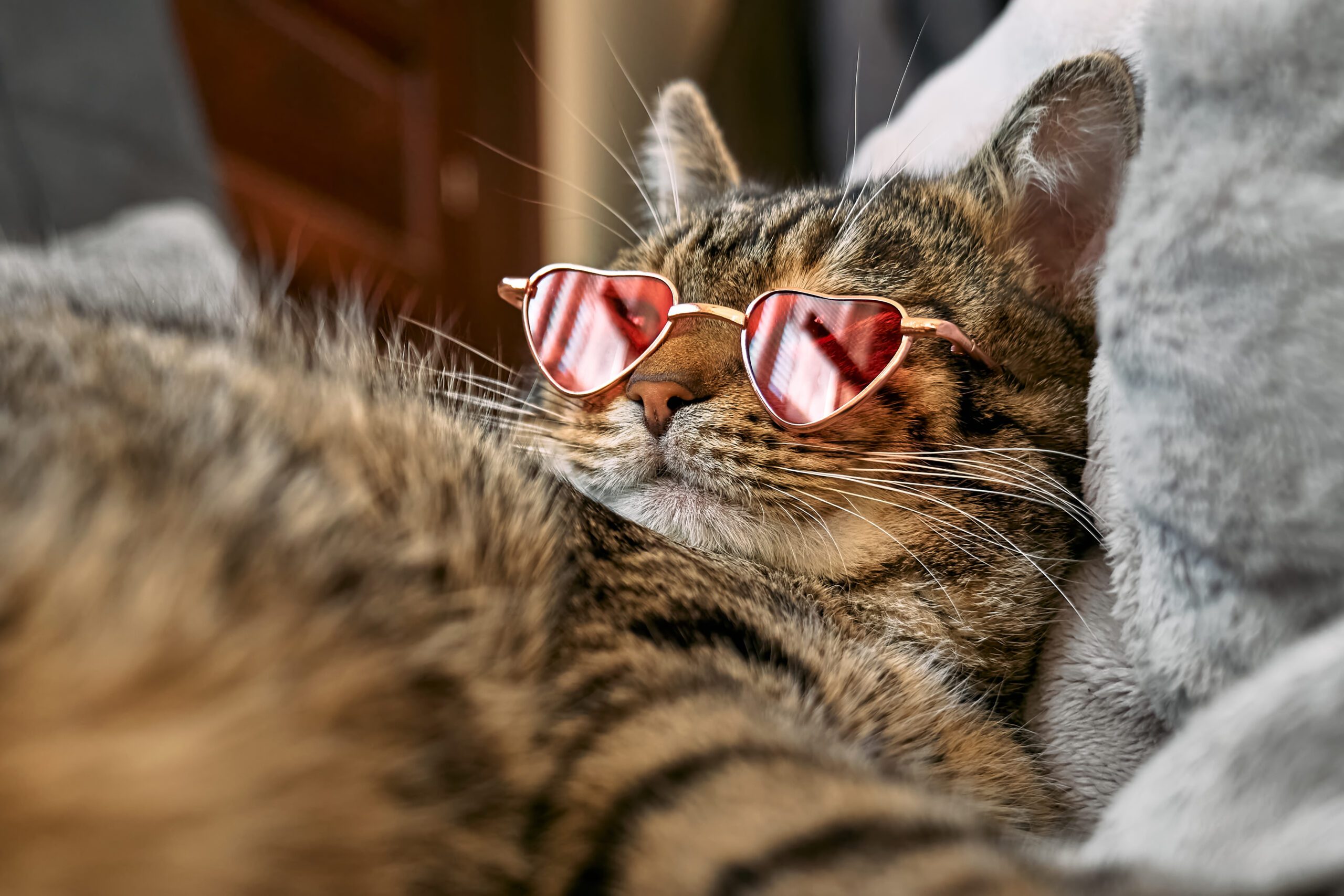 Pet Trusts. Estate Plan. Lessons Learned. - Francine D. Ward